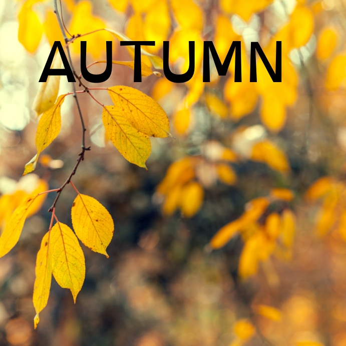 Musim Gugur Templat | PosterMyWall