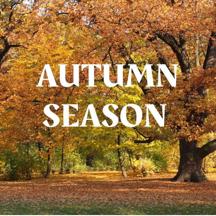 Autumn Template | PosterMyWall