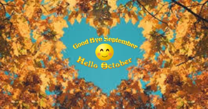 autumn facebook image Template | PosterMyWall