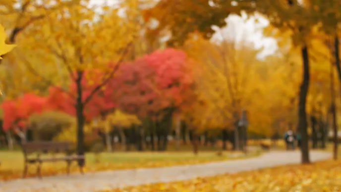 Autumn fall Template | PosterMyWall