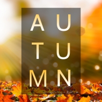 Autumn Instagram Story Template | PosterMyWall