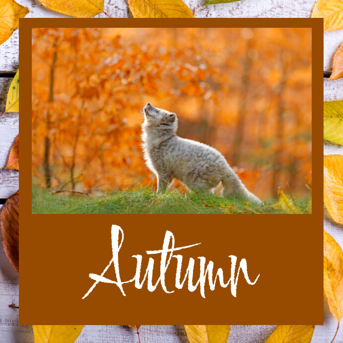 Autumn Poster Template | PosterMyWall