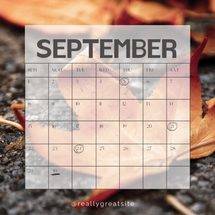 Copy of Autumn Template | PosterMyWall