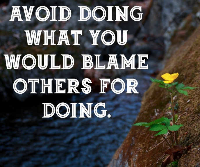 AVOID AND BLAME QUOTE TEMPLATE | PosterMyWall