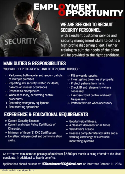 Copy of Anonymous Security | PosterMyWall