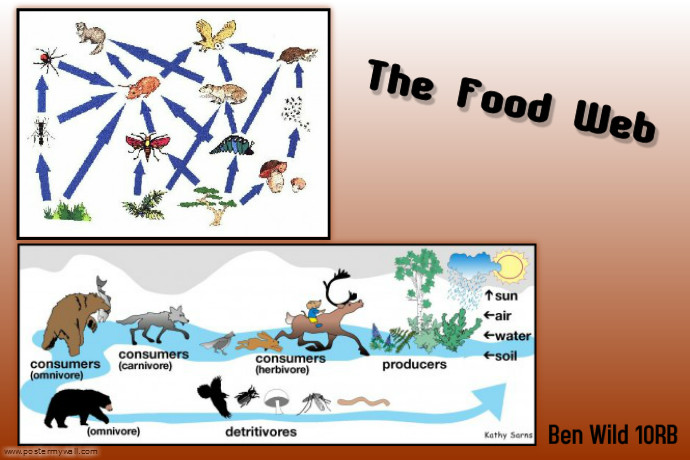 A New Poster | PosterMyWall