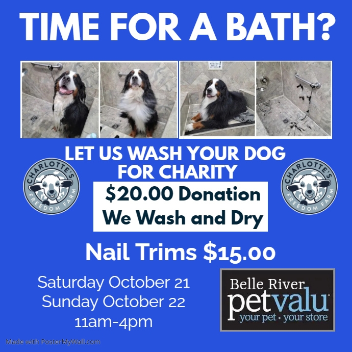 dog wash and caring business | PosterMyWall
