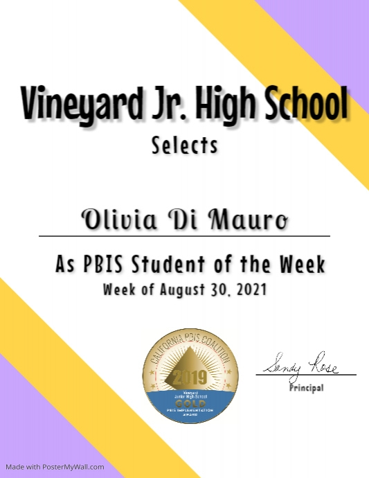 PBIS Certificate | PosterMyWall