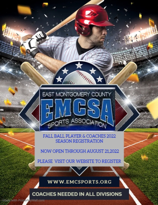 AMERICAN BASEBALL SEASON Flyer Template | PosterMyWall