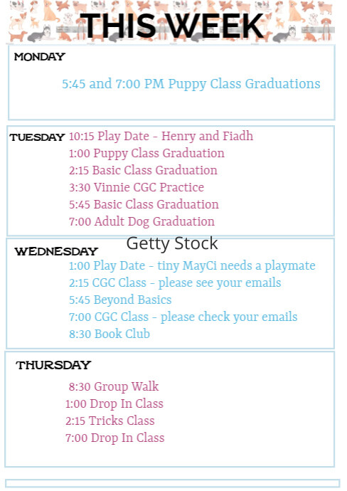 Weekly planner | PosterMyWall