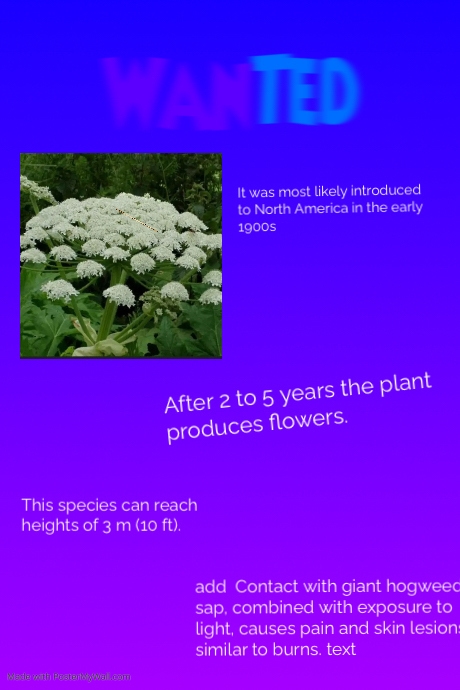 NEHEMIAH | PosterMyWall