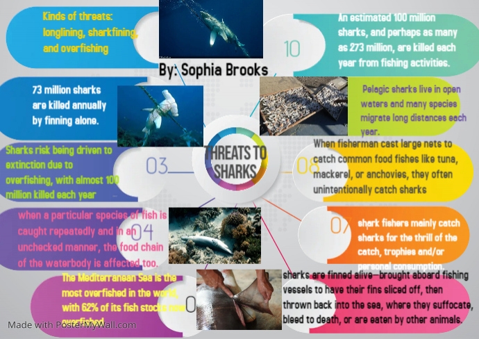 Copy of Copy of modern 10 steps chart infographics elements | PosterMyWall