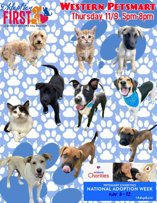 Paws (2) | PosterMyWall