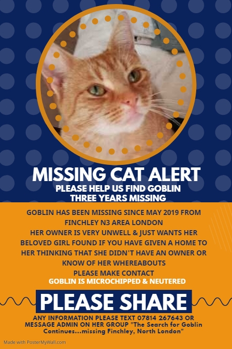 Copy of Copy of MISSING CAT ALERT FLYER | PosterMyWall