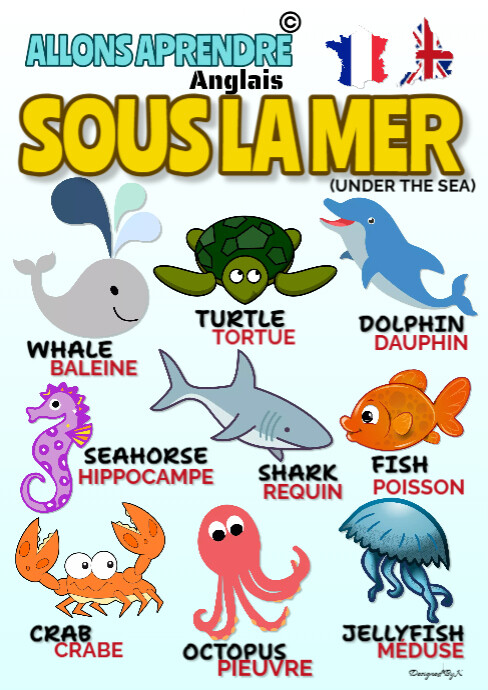 UNDER THE SEA POSTER CLIPART FRENCH PICTURES CLIPART (2) | PosterMyWall