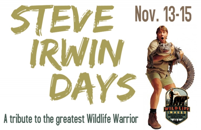 Steve Irwin Day Poster | PosterMyWall