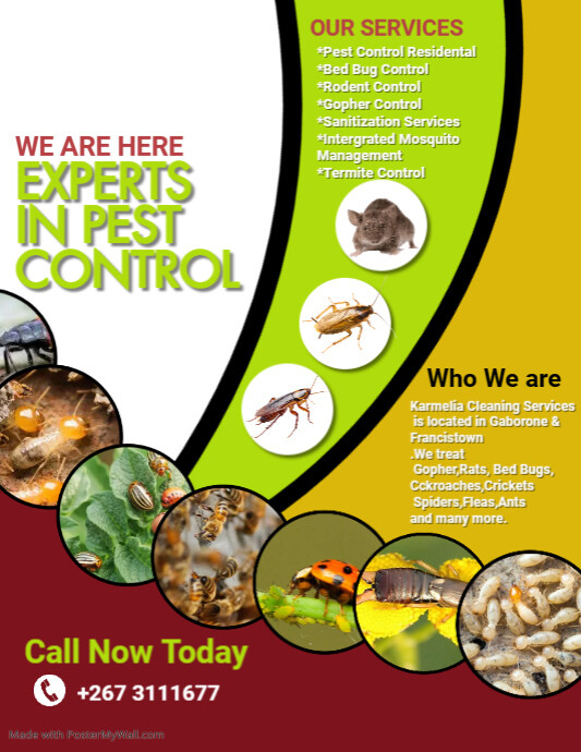 Copy of Pest Control Flyer, pest control services adv | PosterMyWall