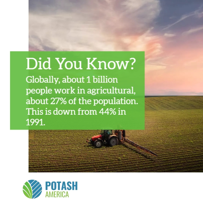 Copy of Did you know Farm (13) | PosterMyWall