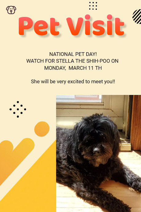 pet care | PosterMyWall