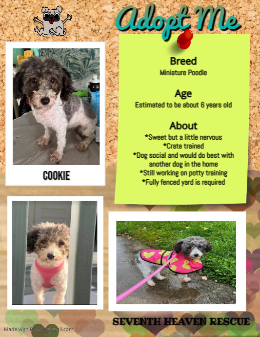 Pet Adoption Animal Rescue Instagram (9) | PosterMyWall