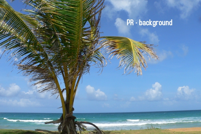 background / scenery Template | PosterMyWall