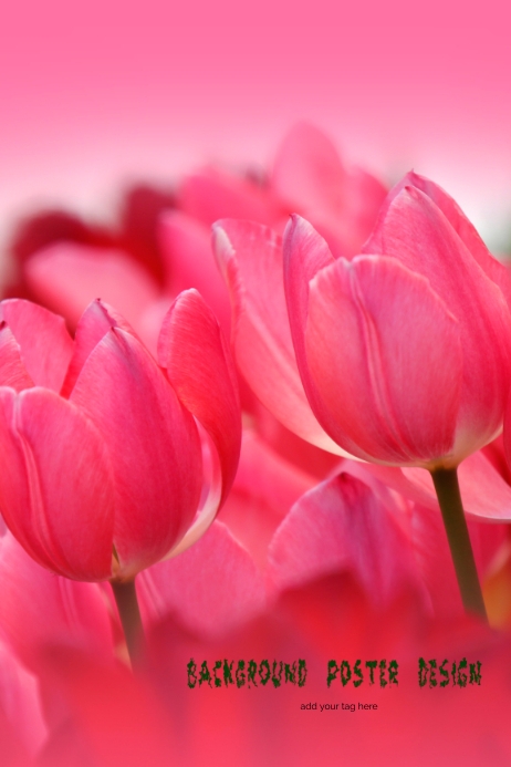 Copy of background wallpaper | PosterMyWall