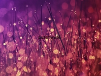 backgrounds Template | PosterMyWall