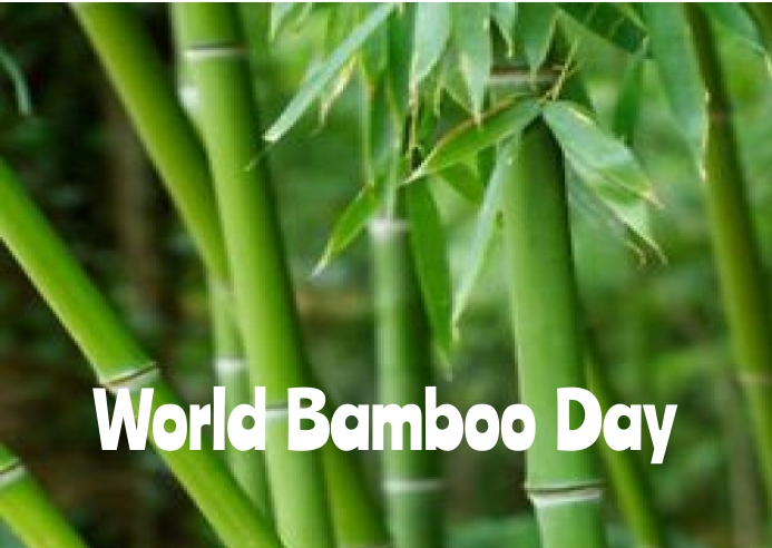 Bamboo Day Template | PosterMyWall