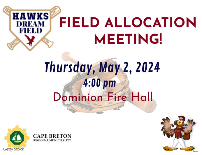 Baseball Field Allocation Meeting Template | PosterMyWall
