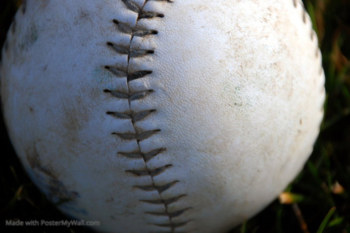 Copia de Baseball | PosterMyWall