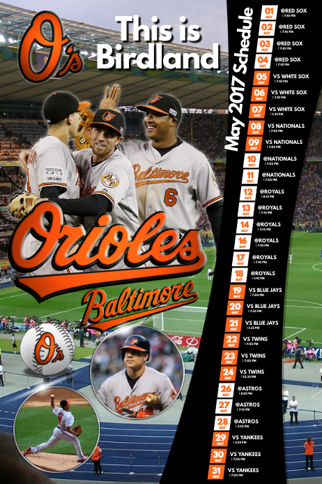 Baseball Team Poster Template | PosterMyWall