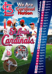 Baseball Poster Template | PosterMyWall