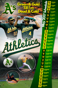 Baseball Team Poster Template | PosterMyWall