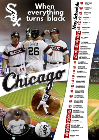 Baseball Team Schedule Poster Template | PosterMyWall