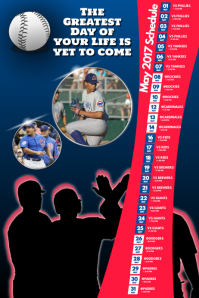 Baseball Team Schedule Template | PosterMyWall