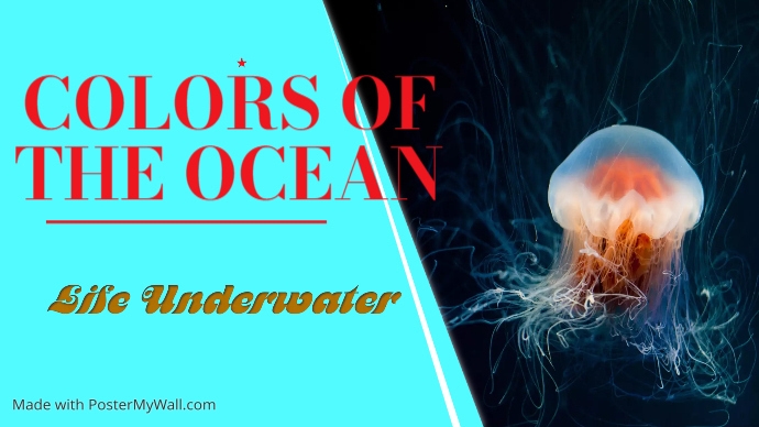 US President Congratulations Cover (8) | PosterMyWall