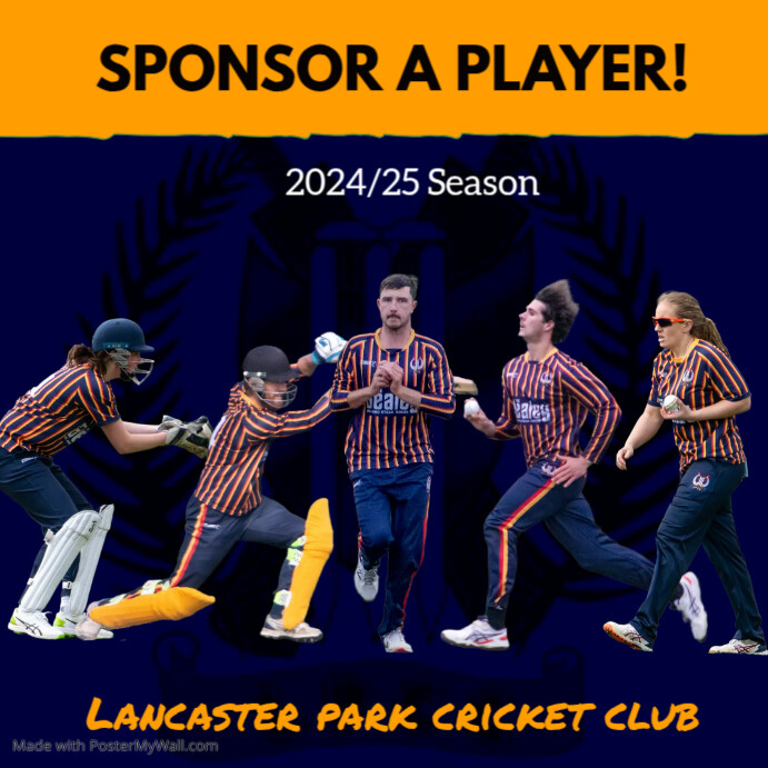 Copy of Sponsor Poster 1 | PosterMyWall