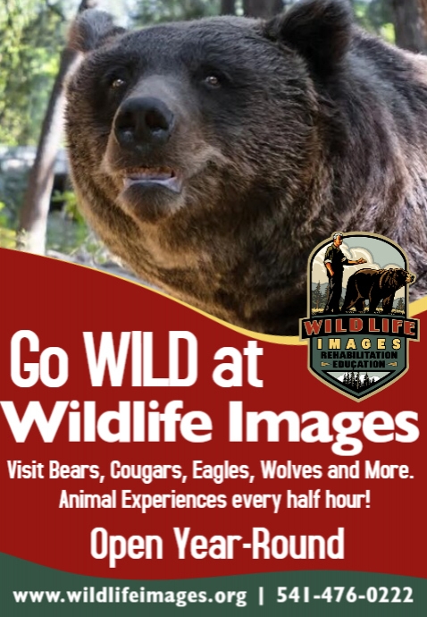 Wildlife ad | PosterMyWall
