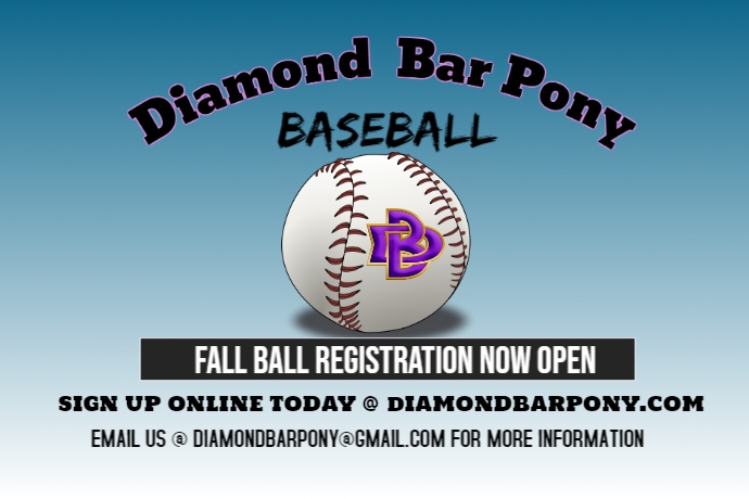 FAll BAll Banner #2 Final | PosterMyWall