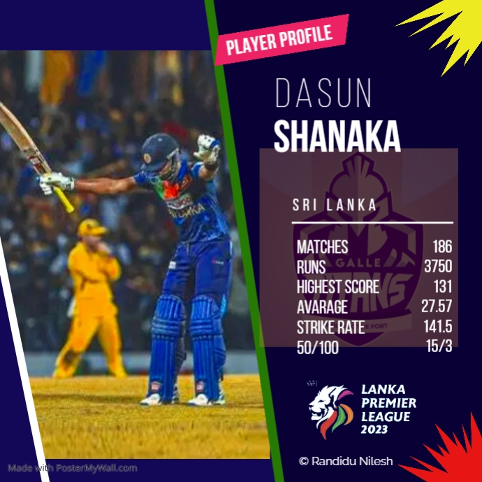 Player Profile Template | PosterMyWall