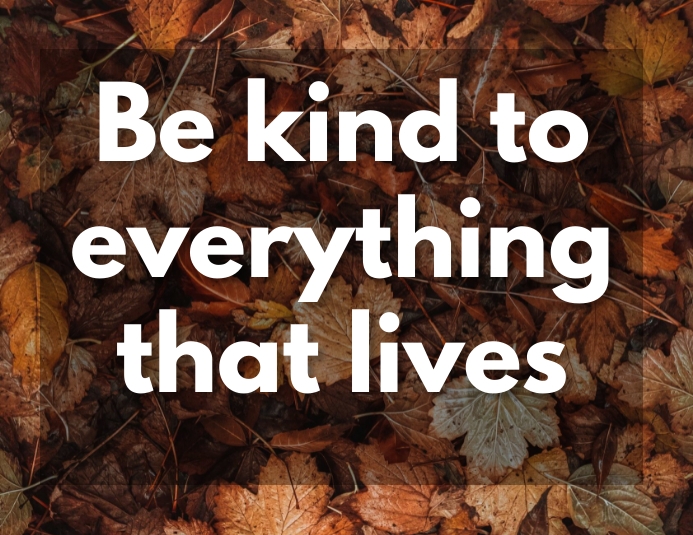 Be kind stay simple quote design template | PosterMyWall