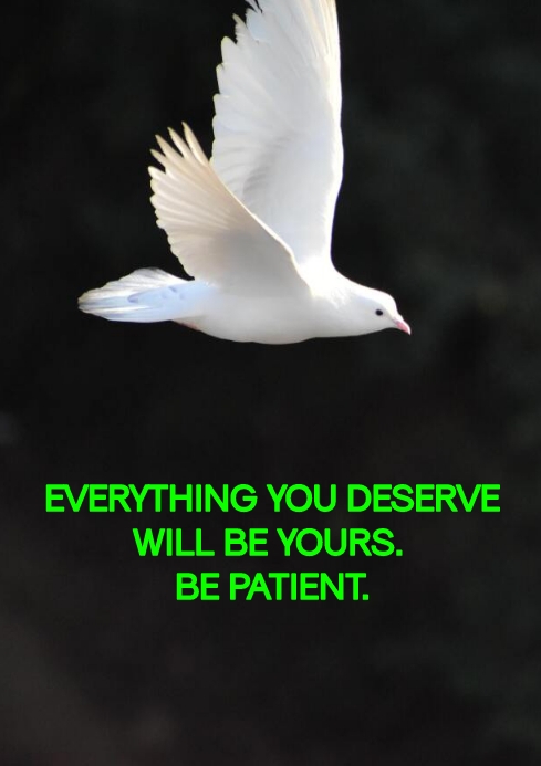 Copy of BE PATIENT QUOTE TEMPLATE | PosterMyWall