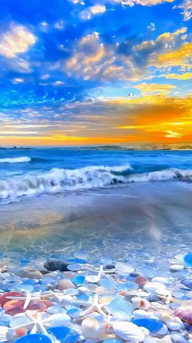 beach sea sunset background video Template | PosterMyWall