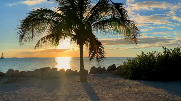 Copy of Beach video background | PosterMyWall