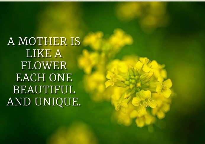 BEAUTIFUL AND UNIQUE QUOTE TEMPLATE | PosterMyWall