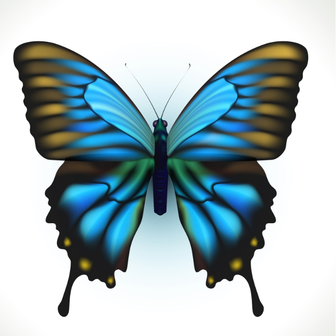 Beautiful butterfly design poster Template | PosterMyWall