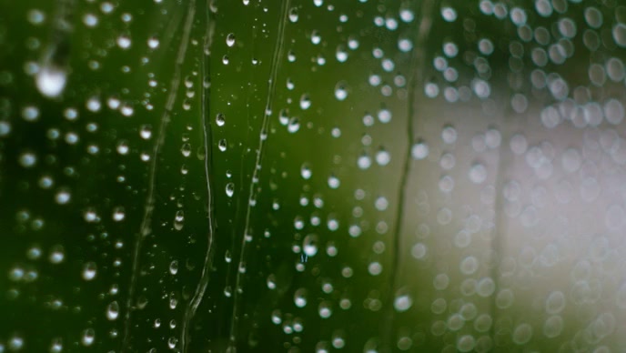 Beautiful dew Template | PosterMyWall