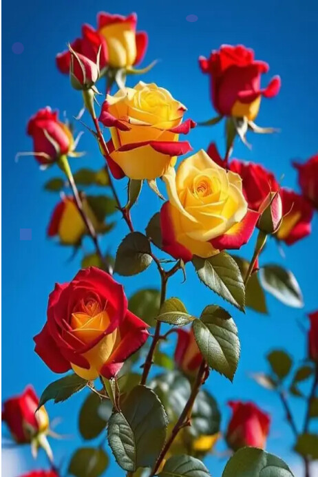 beautiful flower design Template | PosterMyWall