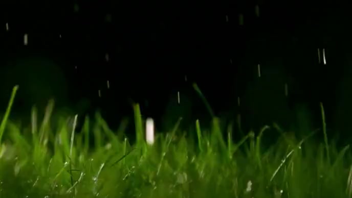 beautiful rain Template | PosterMyWall