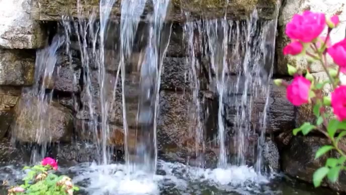 Beautiful rose and waterfall video Template | PosterMyWall